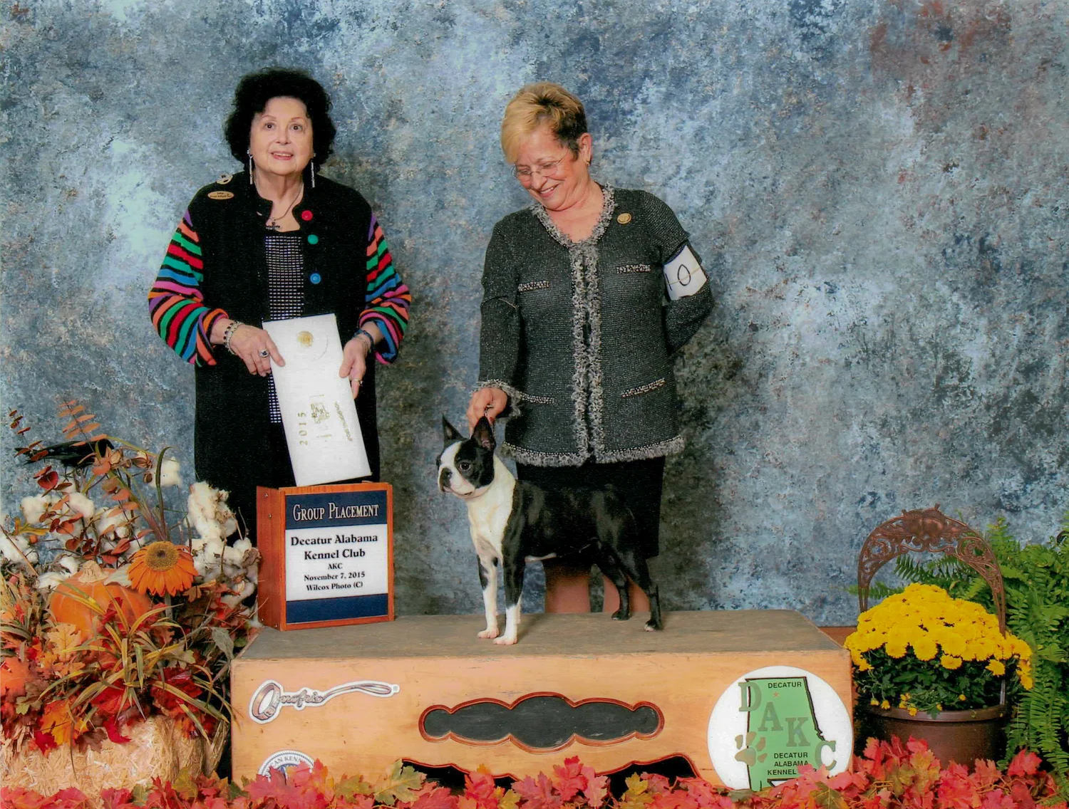 KC's Boston Terriers