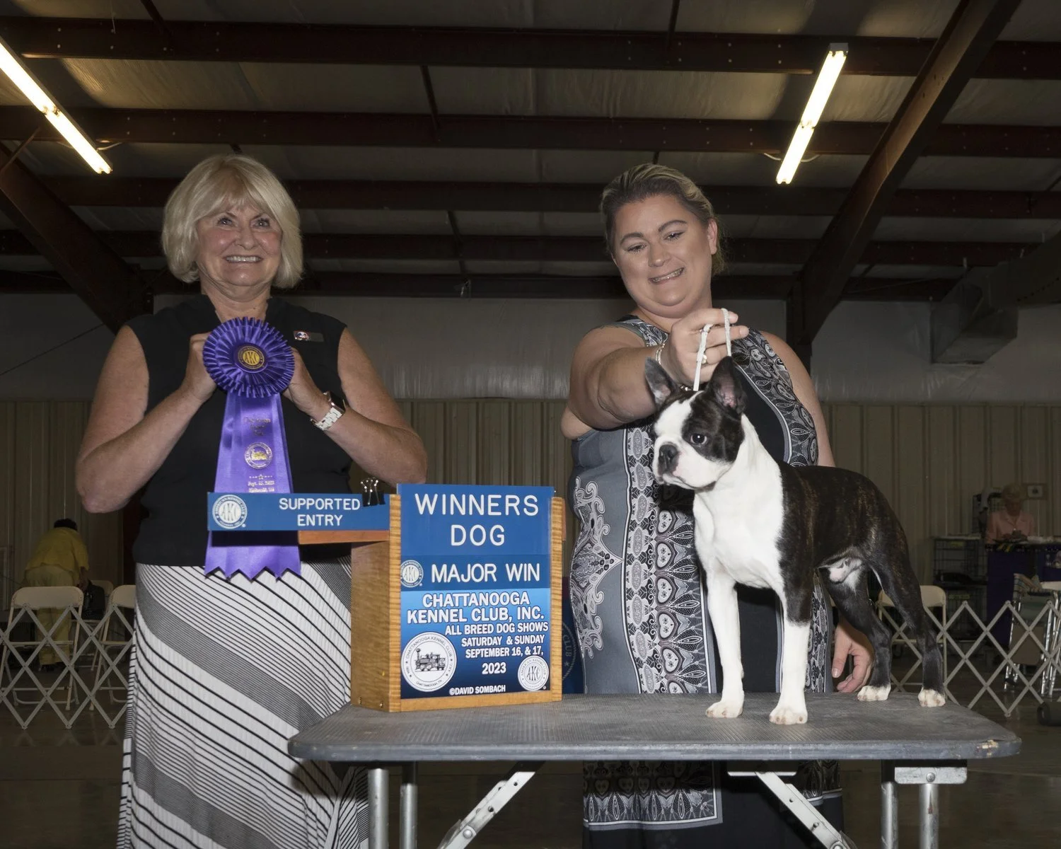 KC's Boston Terriers