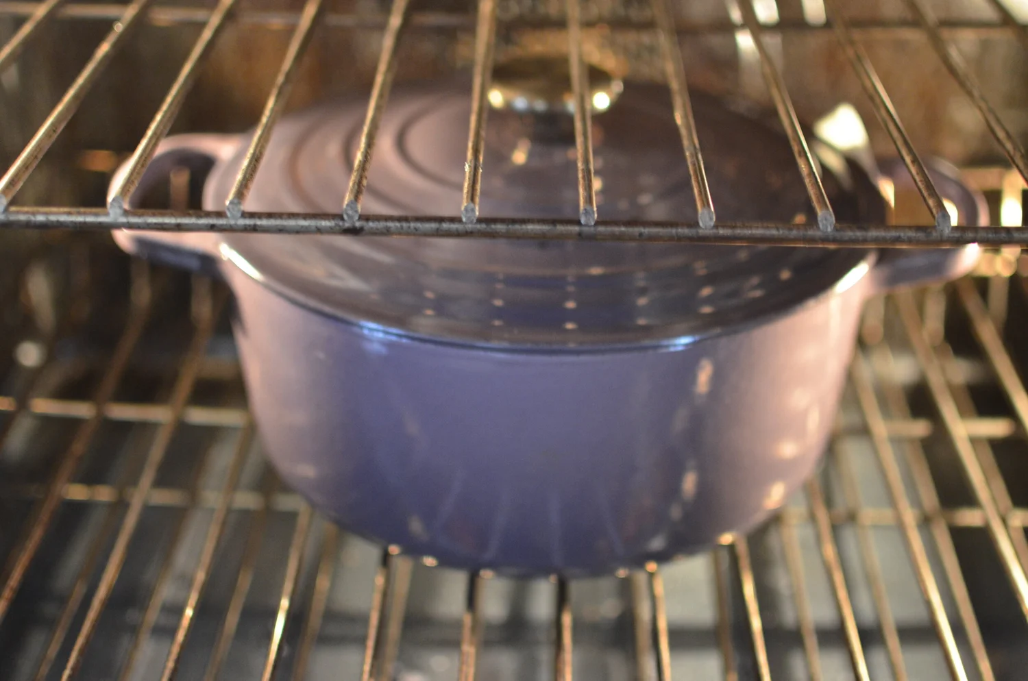 No-Knead Rustic Rye Bread — ButterYum — a tasty little food blog