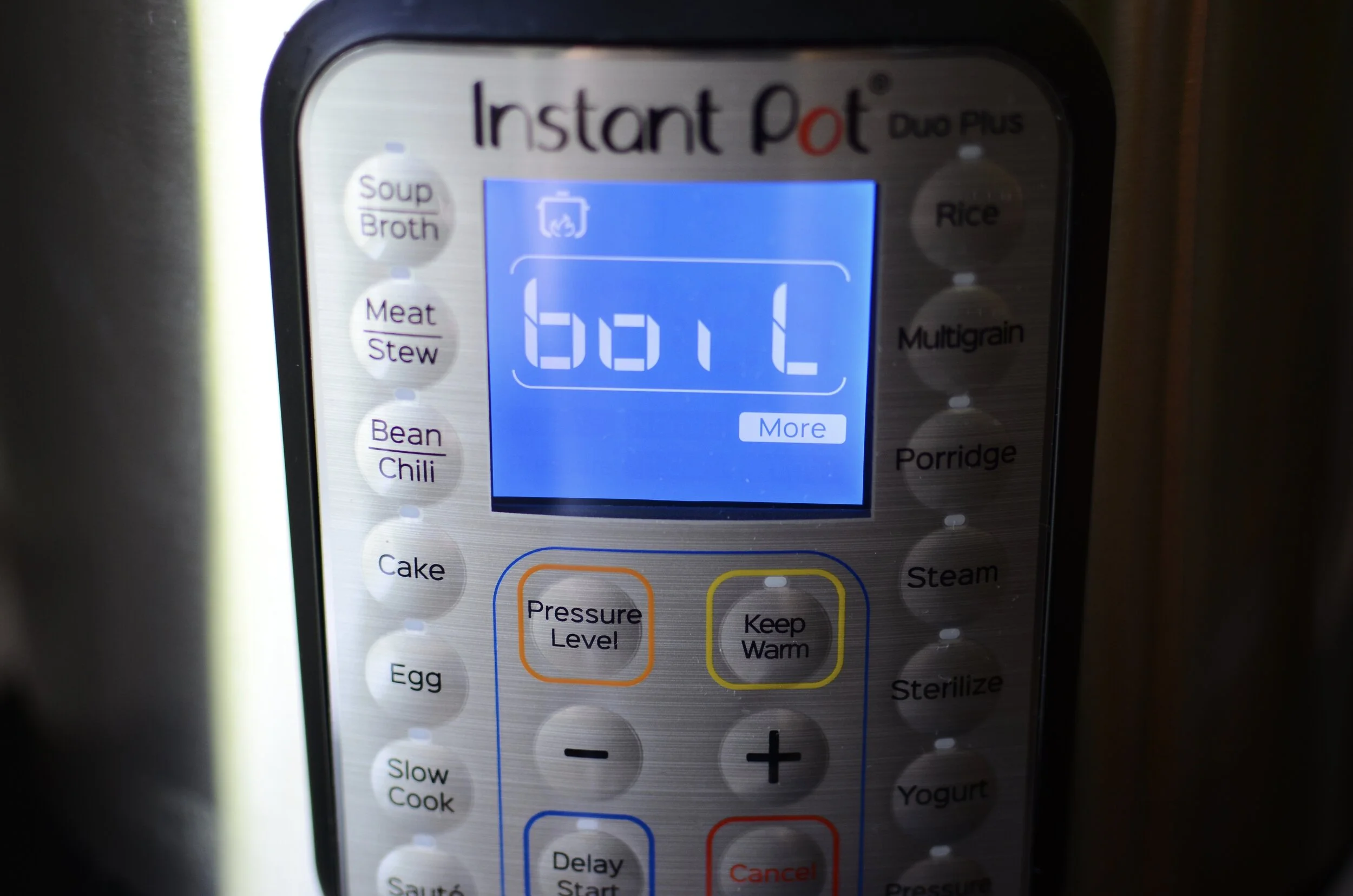Instant Pot Greek Yogurt — ButterYum — a tasty little food blog