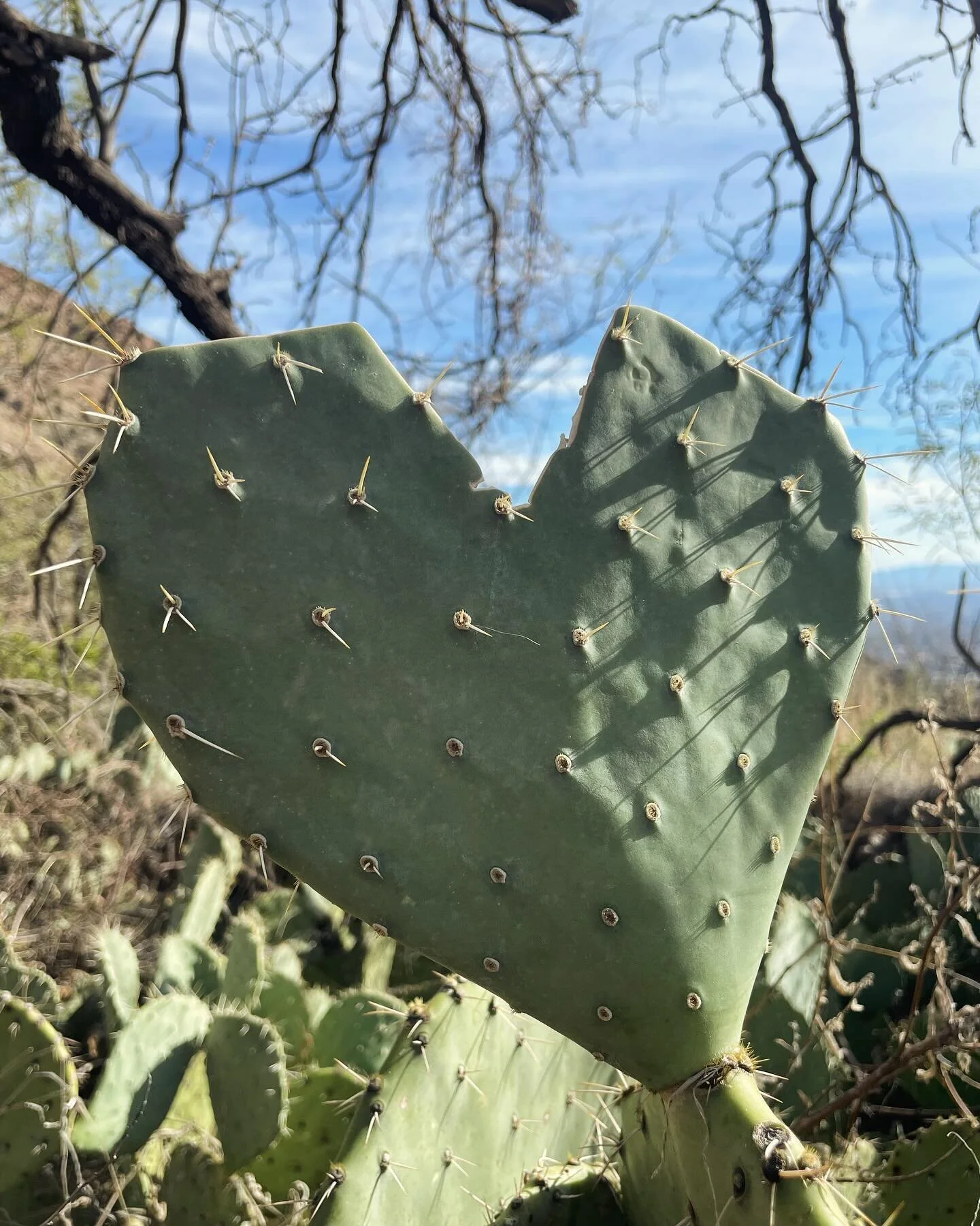 Eldorado General Store