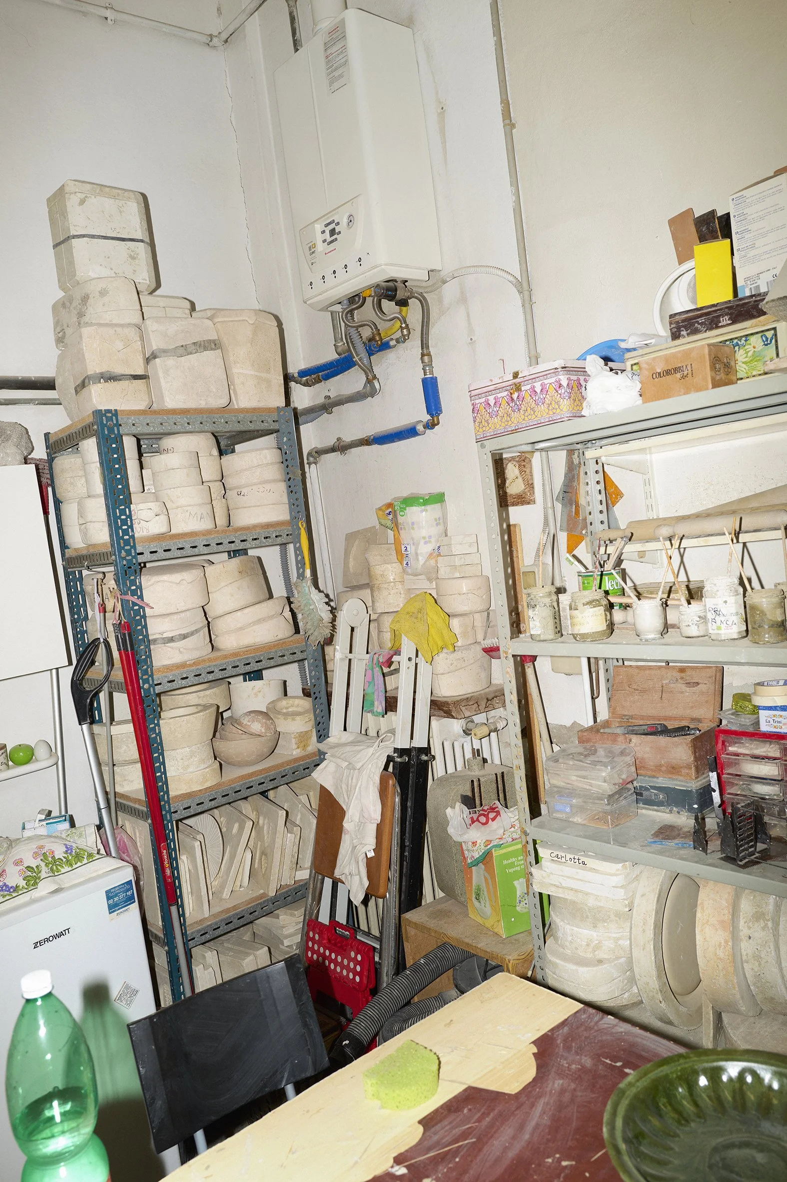 spazio selvàtico | Fausta Bonfiglio — FORTINO EDITIONS