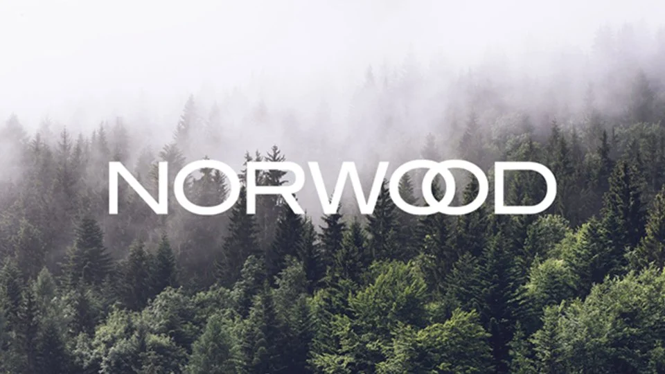 Contemporary Artist & Designer Antonio Brasko | Brasko™