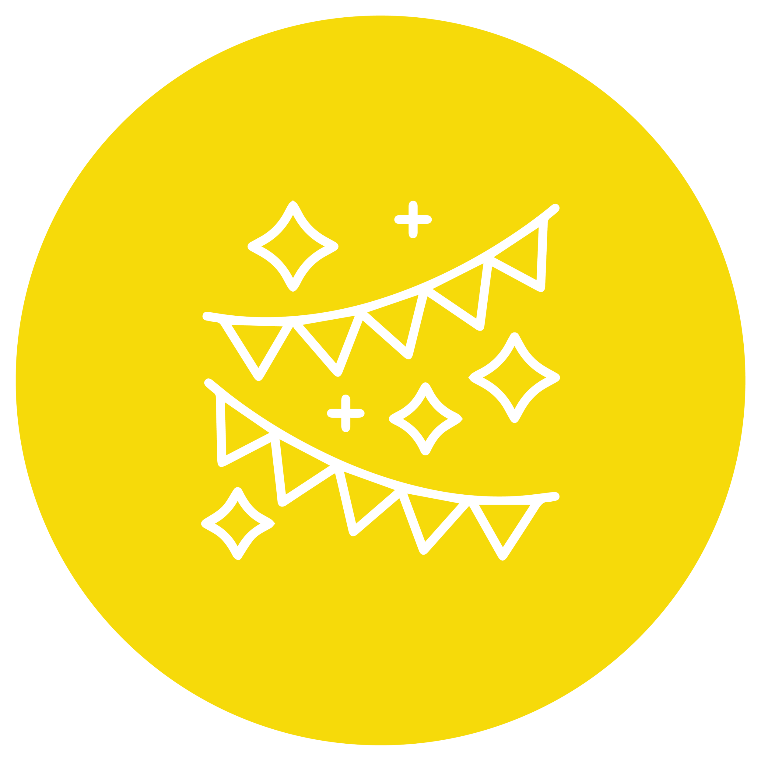 Project Lemonade: Inspiring self-esteem in foster youth