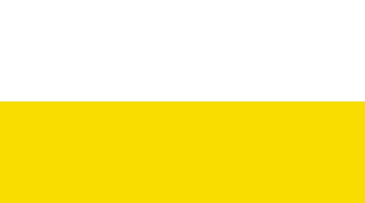 Programs — Project Lemonade: Inspiring self-esteem in foster youth