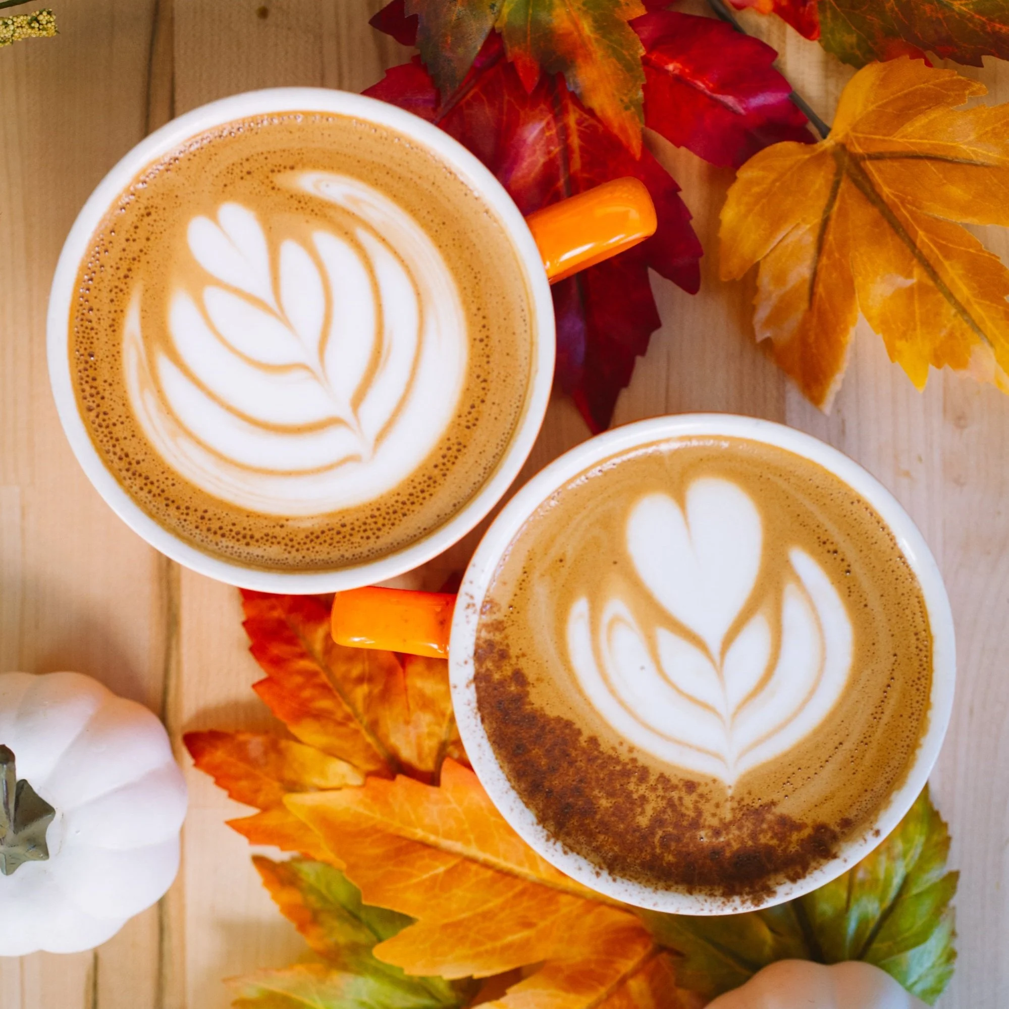 Fall Coffee Drinks