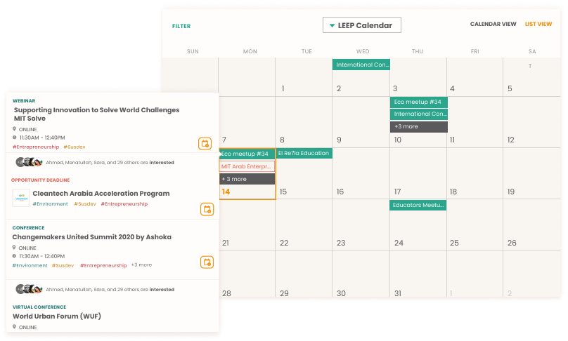 LEEP for Collaborative Impact — RISE Egypt