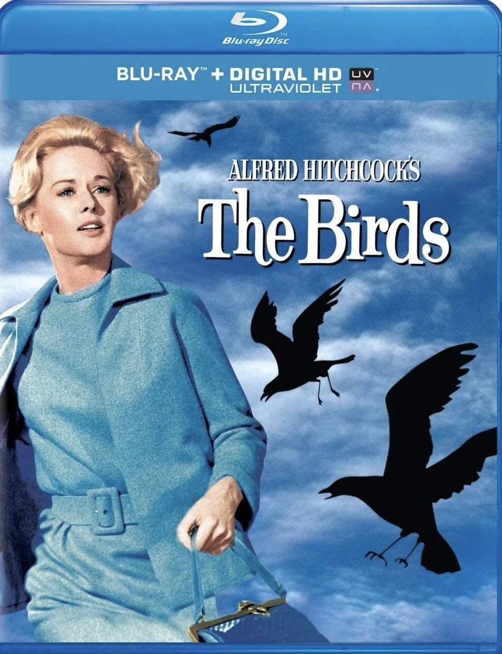 Falling In Love With Classic Fall Movies — Enchanting Elegance