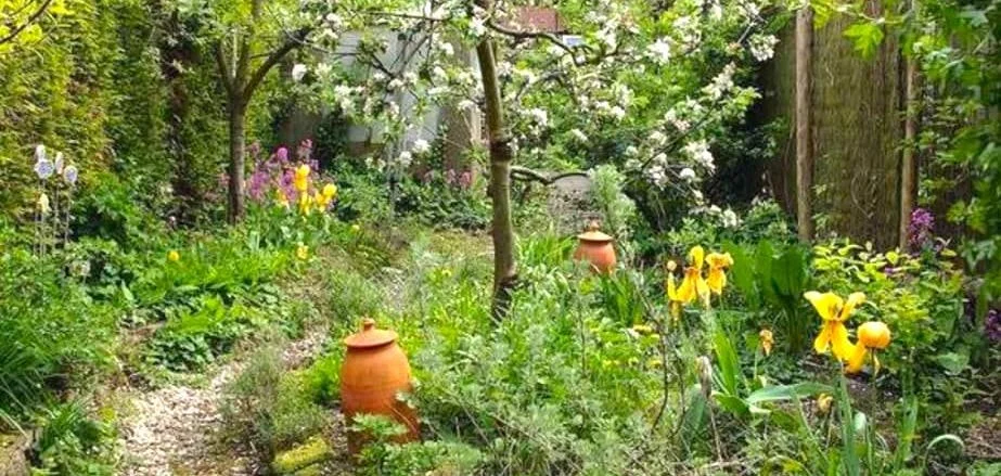 Curated Native Plant Lists + Resources — Rebecca's Gardens