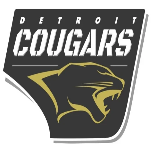 Rivals Professional Football League