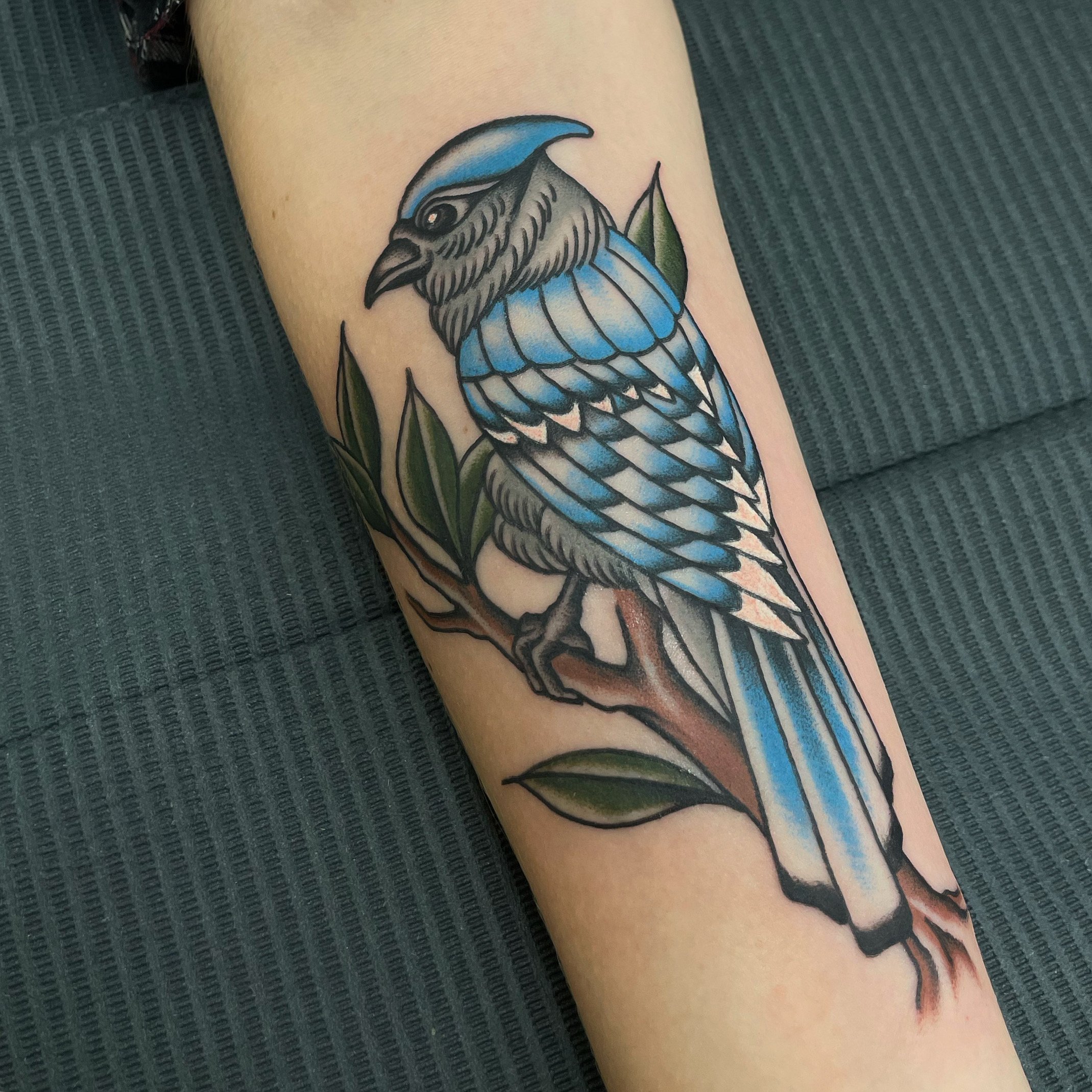 Flying Blue Jay Tattoo