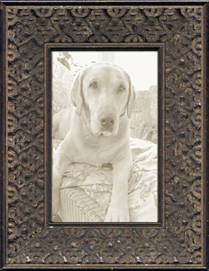 Black Distressed Ethnic African Decorative Picture Frame — black ...