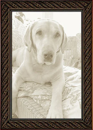 Thin Black Vintage Picture Frame — black decorative picture frames made ...