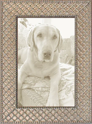 Ornate picture frames made in USA