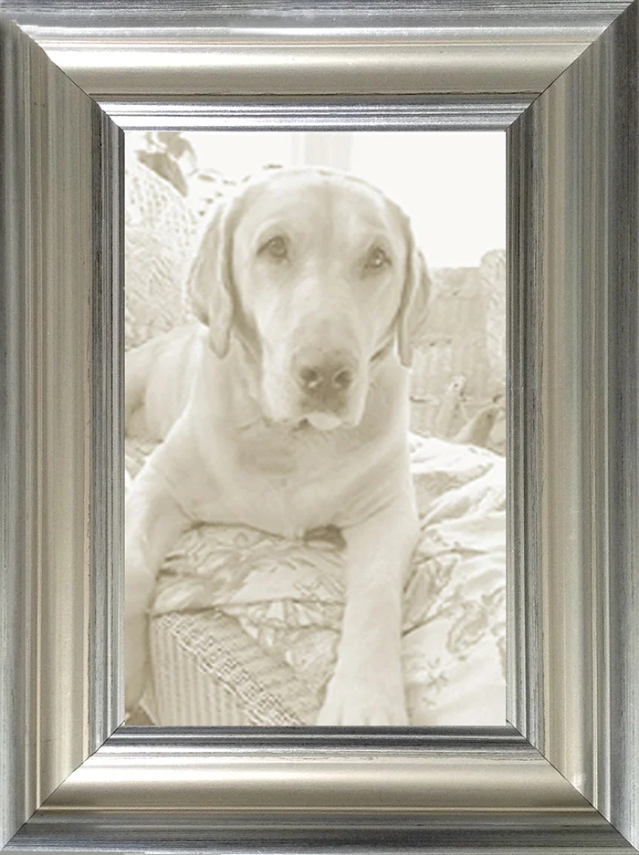 silver ornate picture frames — MUSEUM FACSIMILES