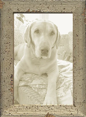 Italian Silver Distressed Quality Picture Frame — silver ornate picture ...