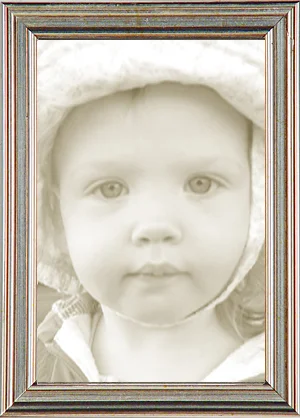 Thin Silver Panel Traditional Picture Frames — silver ornate picture frames