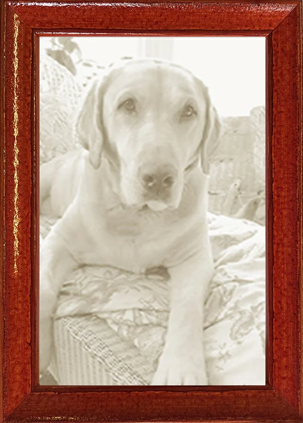 Italian Picture Frame - Red Lacquer — distressed and color picture frames