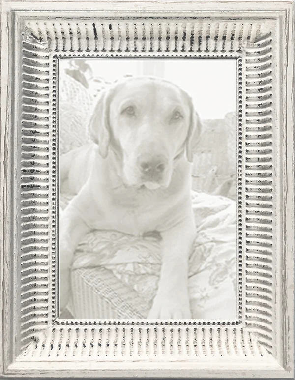 distressed and color picture frames — MUSEUM FACSIMILES