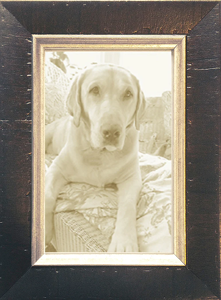 Vintage Distressed Walnut with Silver Lip Burl Quality Picture Frame ...