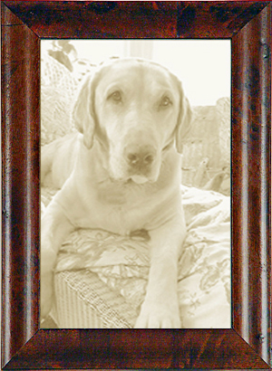 Thin Walnut Burl Picture Frame — MUSEUM FACSIMILES