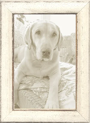 distressed and color picture frames — MUSEUM FACSIMILES