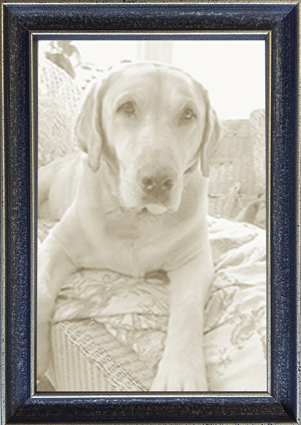 distressed and color picture frames — MUSEUM FACSIMILES
