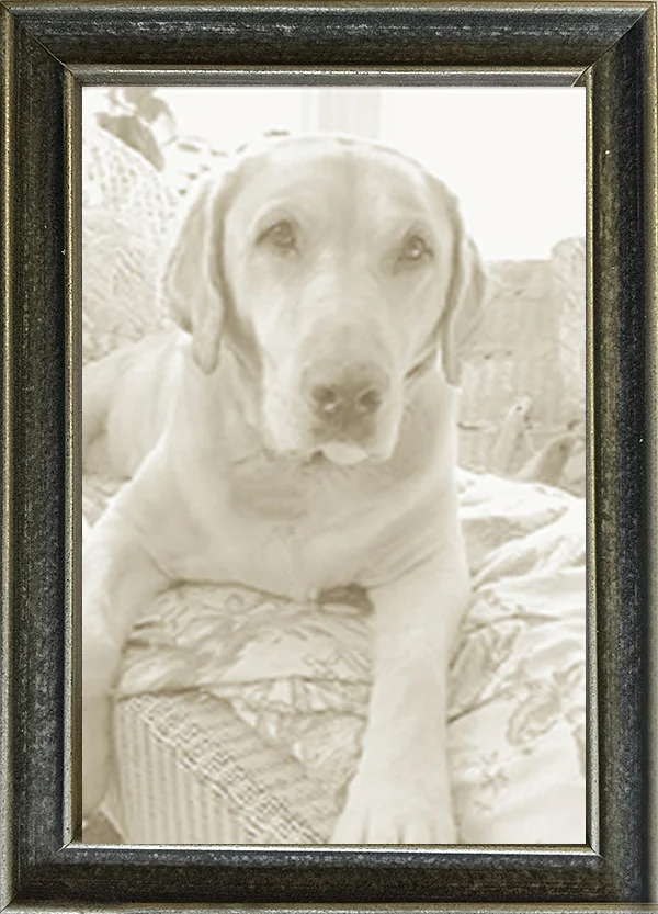 distressed and color picture frames