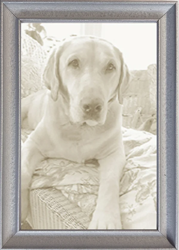 distressed and color picture frames