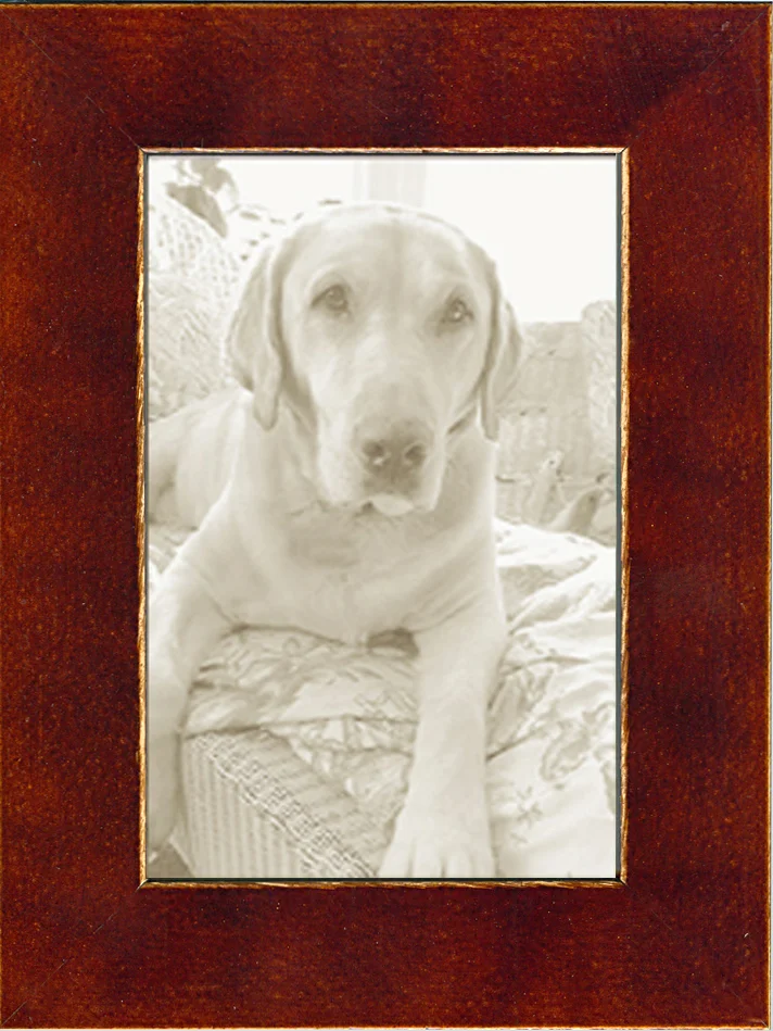distressed and color picture frames