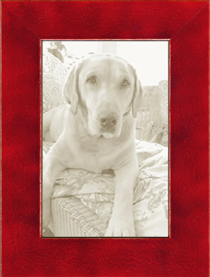 Glossy Red Lacquer Picture Frames — Distressed White and Color Picture ...