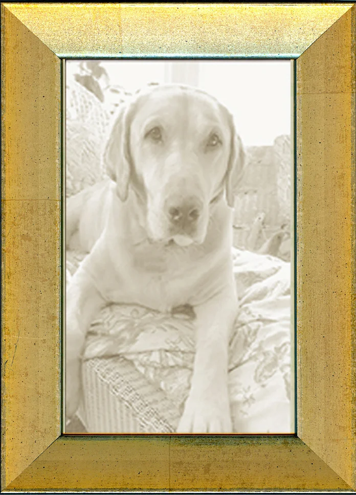 distressed and color picture frames — MUSEUM FACSIMILES