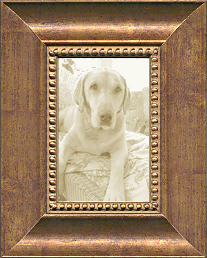 Ornate picture frames made in USA