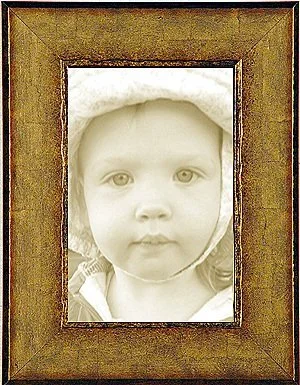 Italian Gold Transitional Picture Frame — gold picture frames