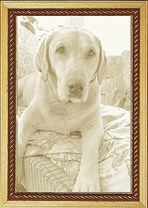 Ornate picture frames made in USA