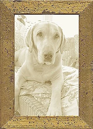 Ornate picture frames made in USA