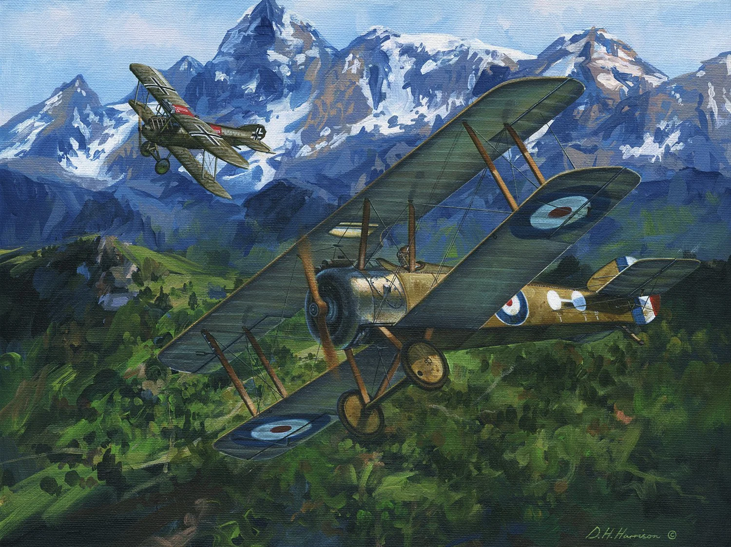 Store — Drew Harrison - Artist