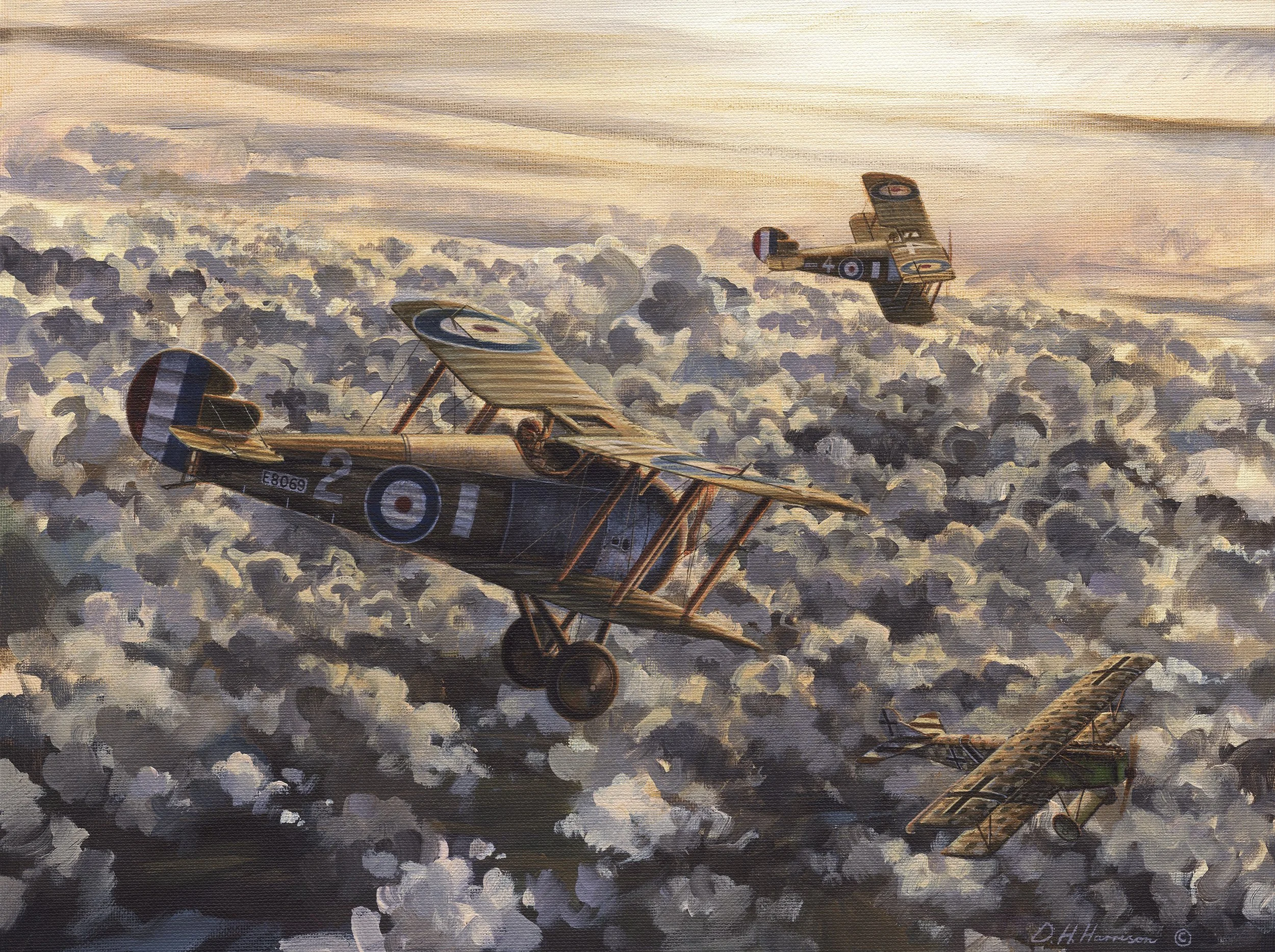 Store — Drew Harrison - Artist