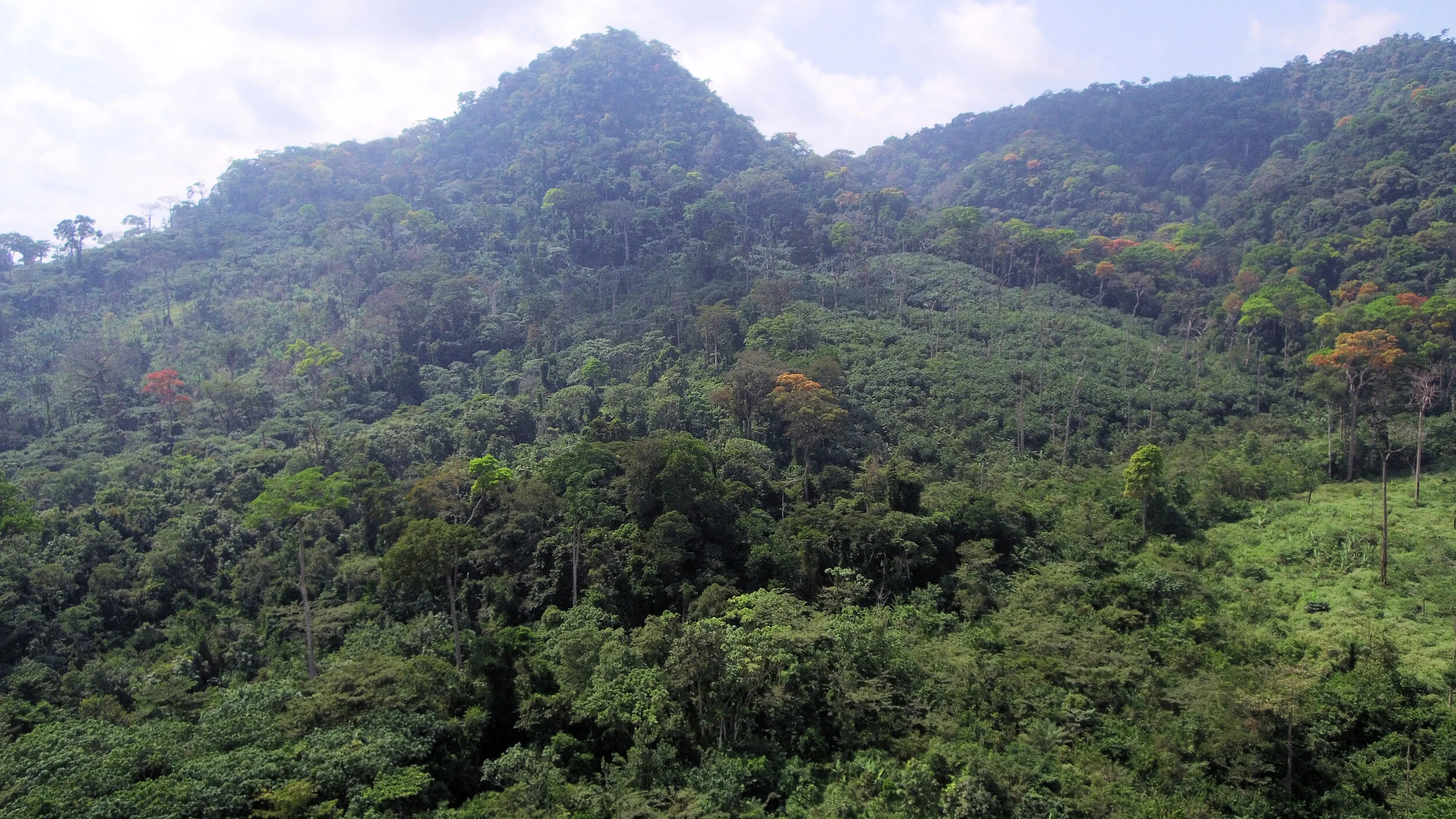 UAV Magnetics — MWH Geo-Surveys