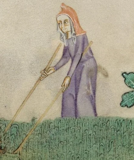 Kirtles — Hoplologia