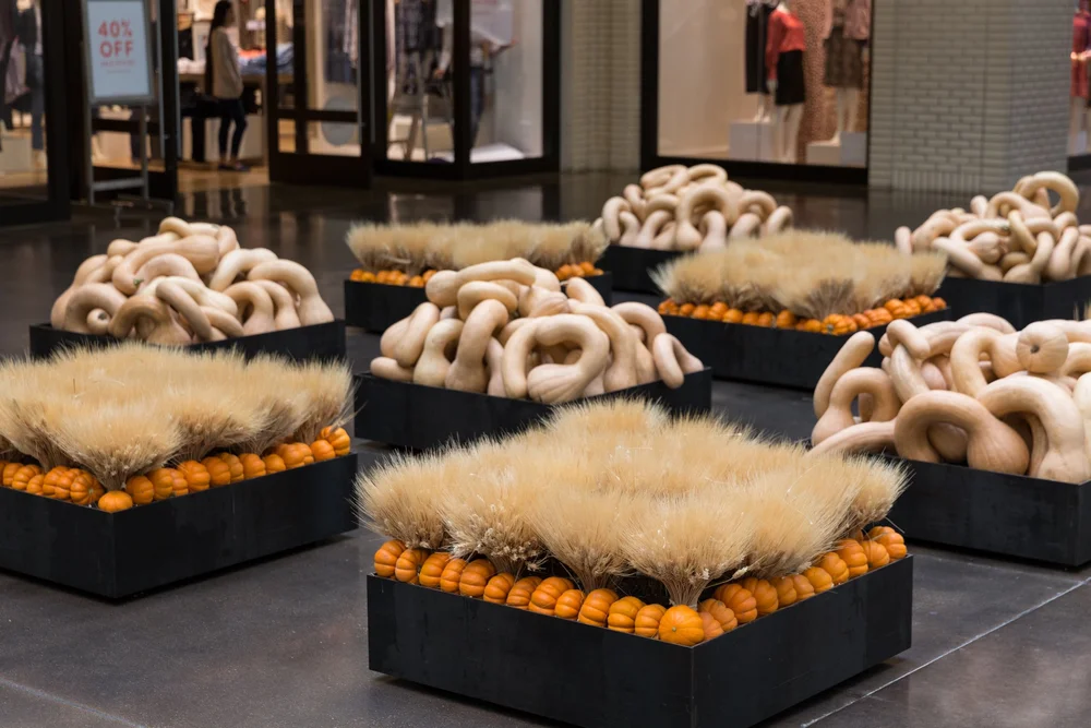 landscape architecture — nomad.studio : landscape architecture : design ...