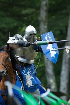 Mutton & Mead Medieval Festival