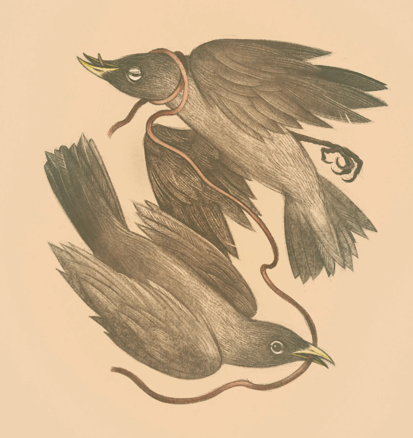 Christopher Thornock