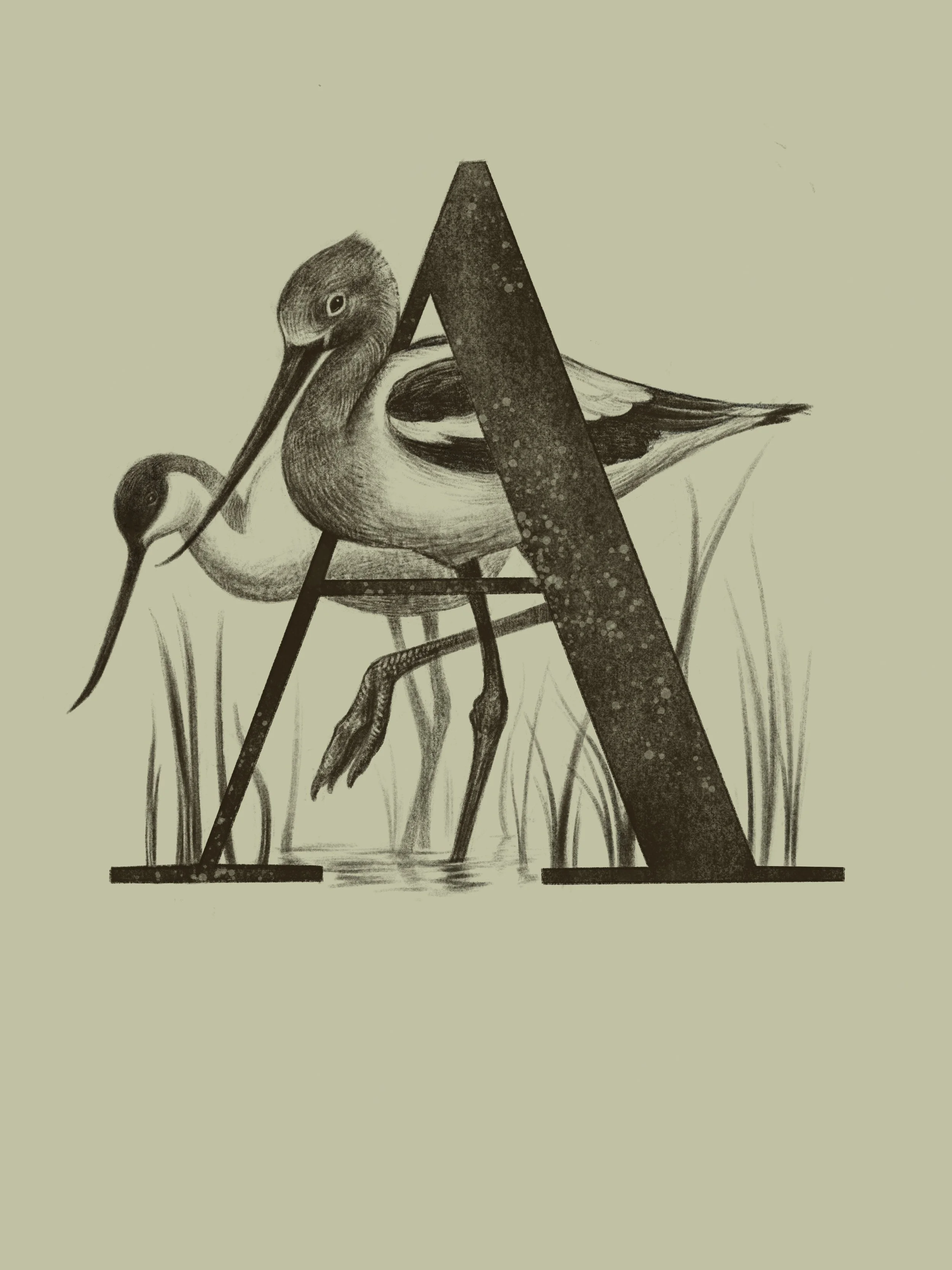 Christopher Thornock