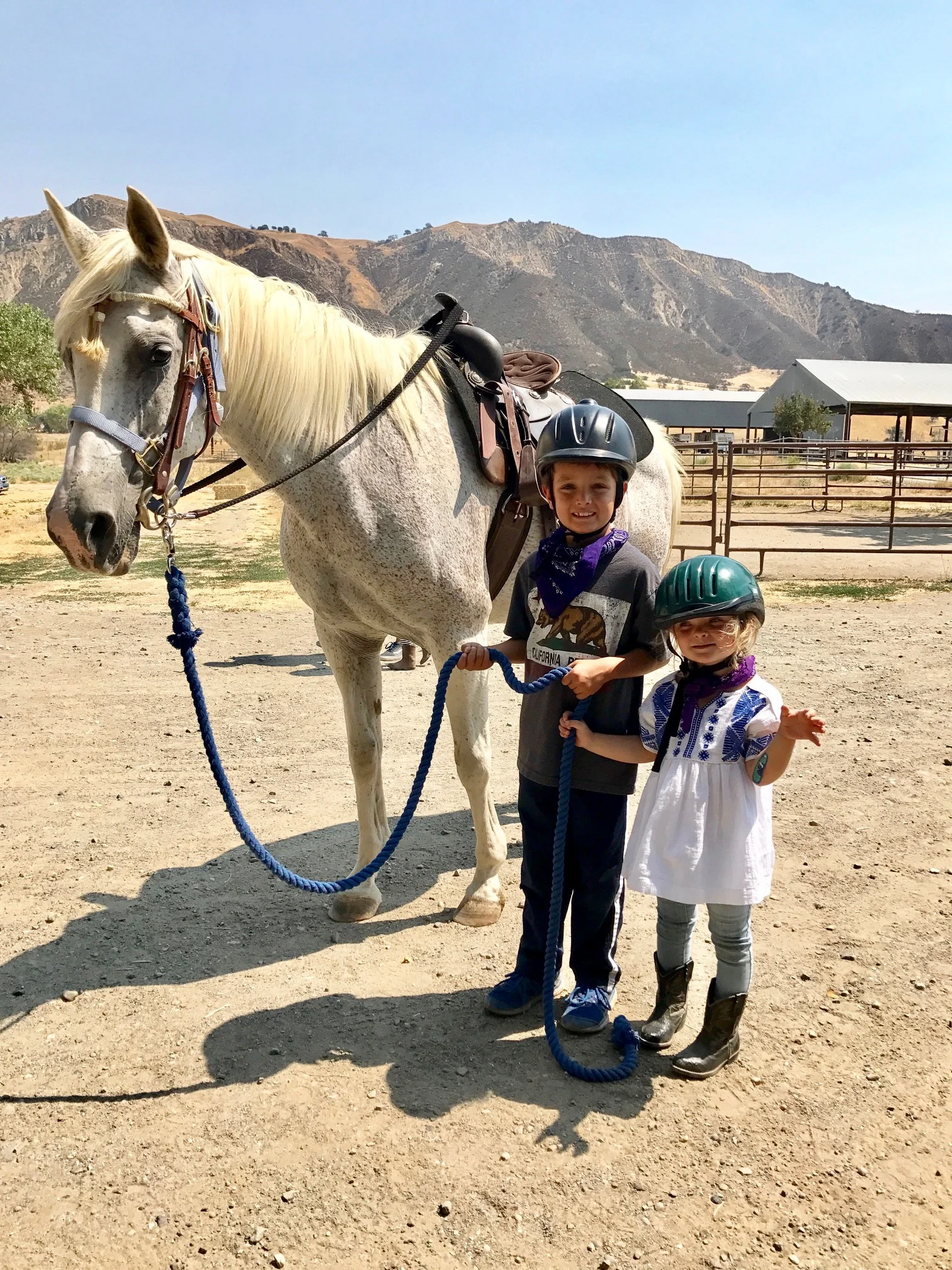 Welcome to the Bar SZ Ranch