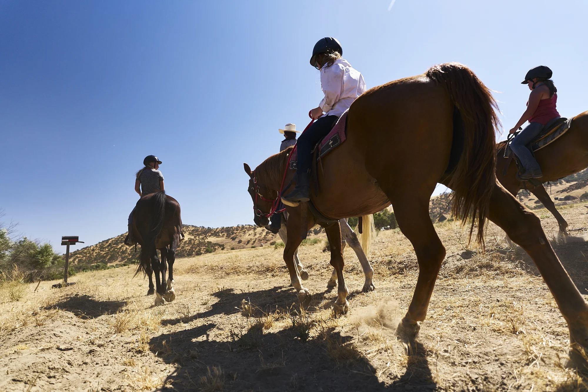 Welcome to the Bar SZ Ranch