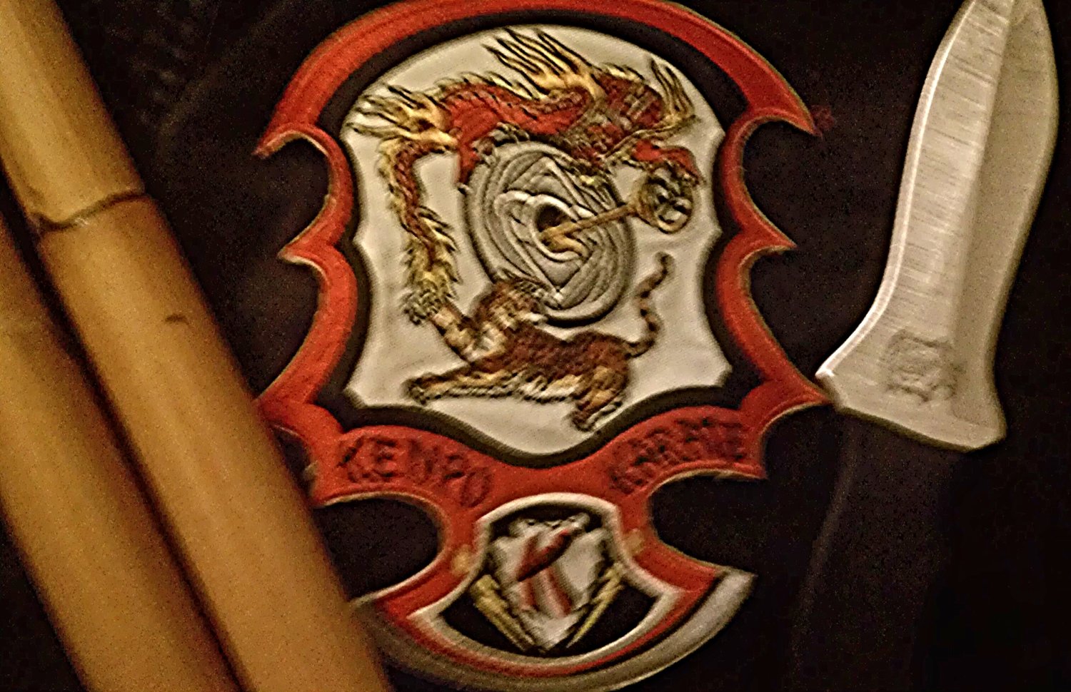 Paul Mills Kenpo Karate