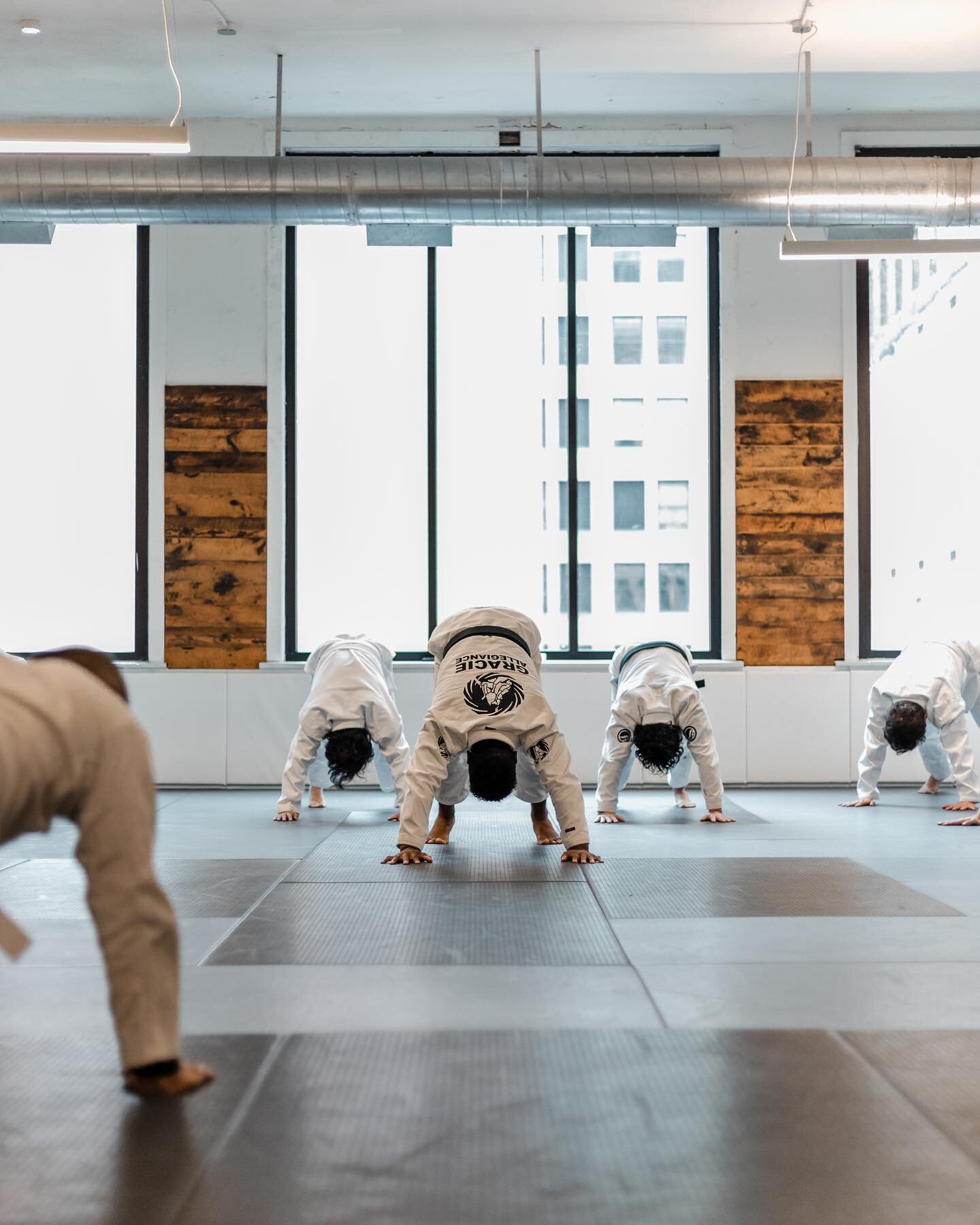 Chicago Martial Arts Training | Redzovic Jiu Jitsu