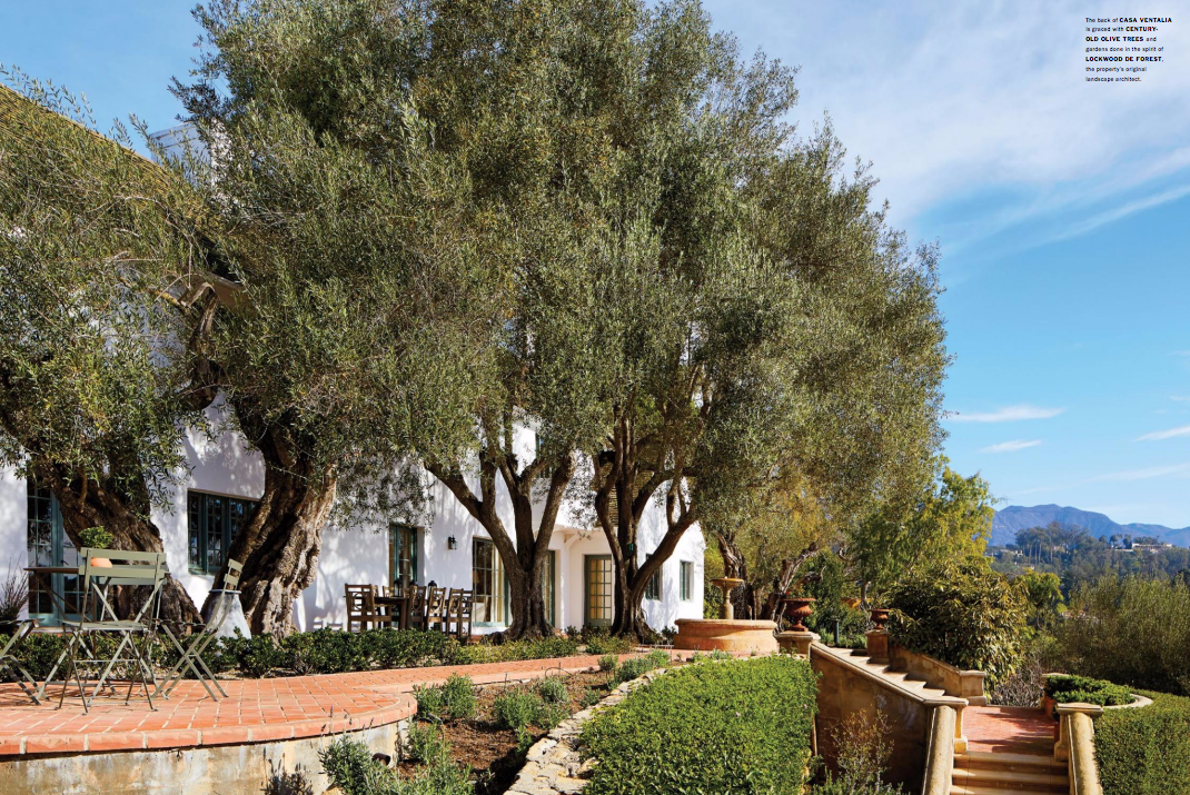 Press — Designs By Alina: Luxe Gifts - Home Accents - Fine Jewelry