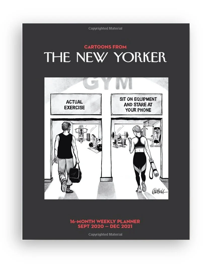 New Yorker Cartoonist Jason Chatfield - Books